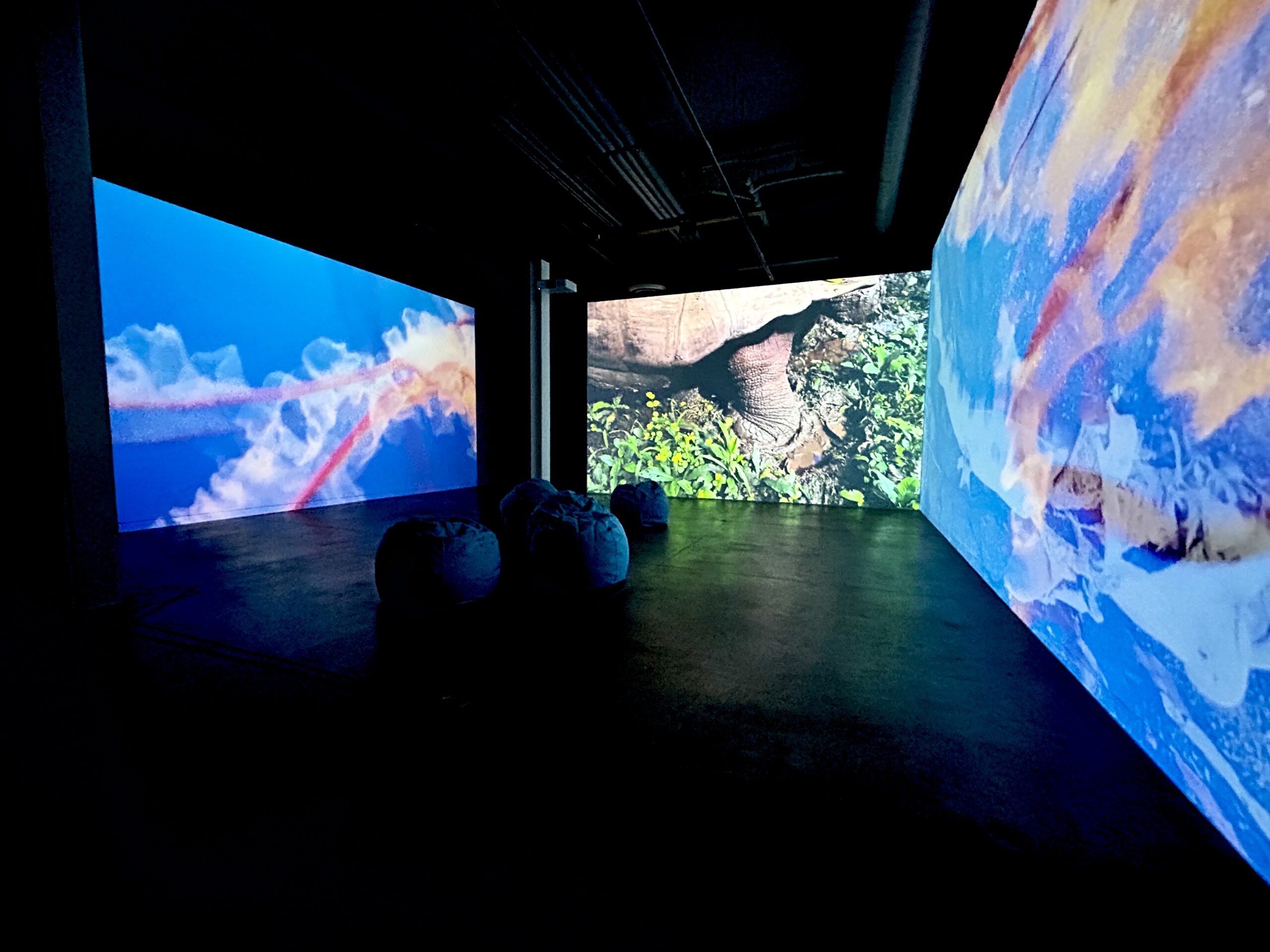 Julia Edith Rigby: Fever Dream - Grand Central Art Center